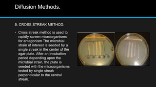 Antibacterial Assay.pptx