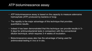 Antibacterial Assay.pptx