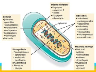 Antibacterial chemicals bactericidal and bacteriostatic agents | PPTX