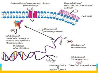 Antibacterial chemicals bactericidal and bacteriostatic agents | PPTX