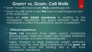 ANTIBACTERIAL DRUGS.pptx a comprehensive | PPTX