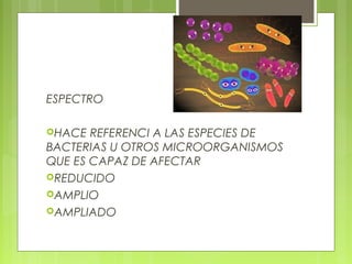 Antibacterianos | PPT