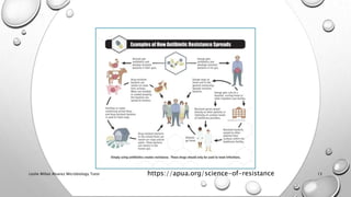 Antibiotic and antibiotic resistance | PPTX