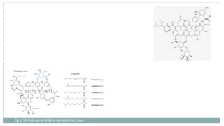Antibioticos | PPTX