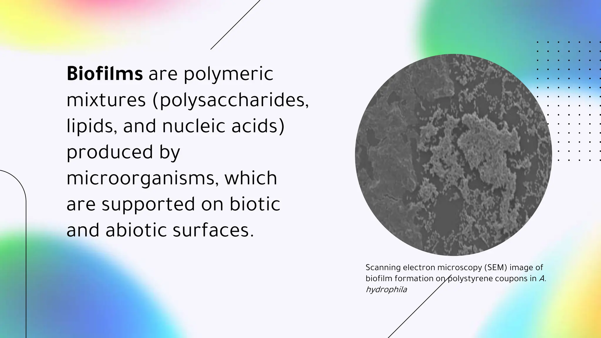 Antibiofilm Enzymes.pptx