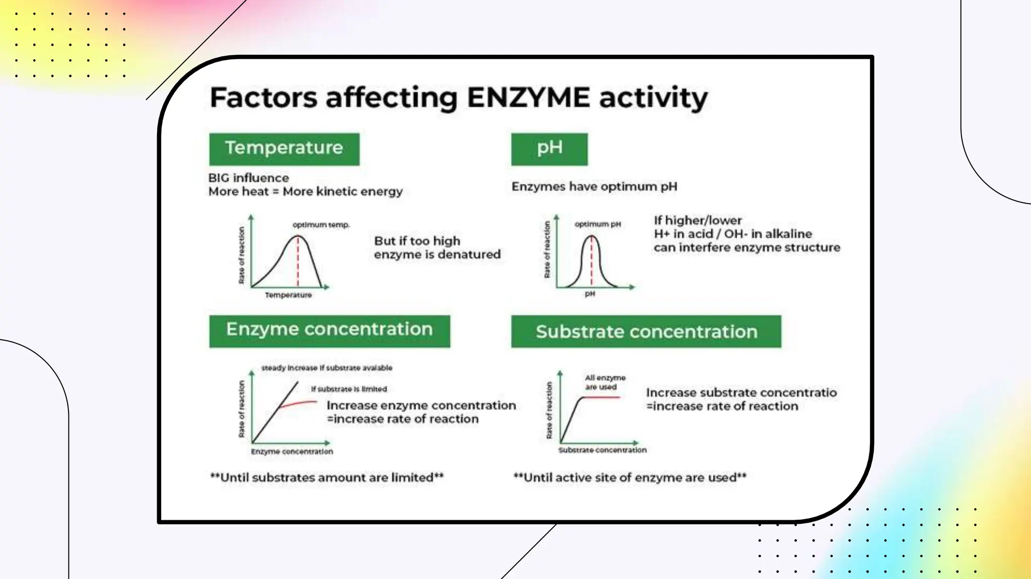 Antibiofilm Enzymes.pptx
