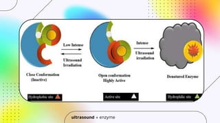 Antibiofilm Enzymes.pptx