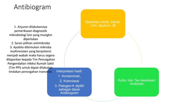 Antibiogram.pptx