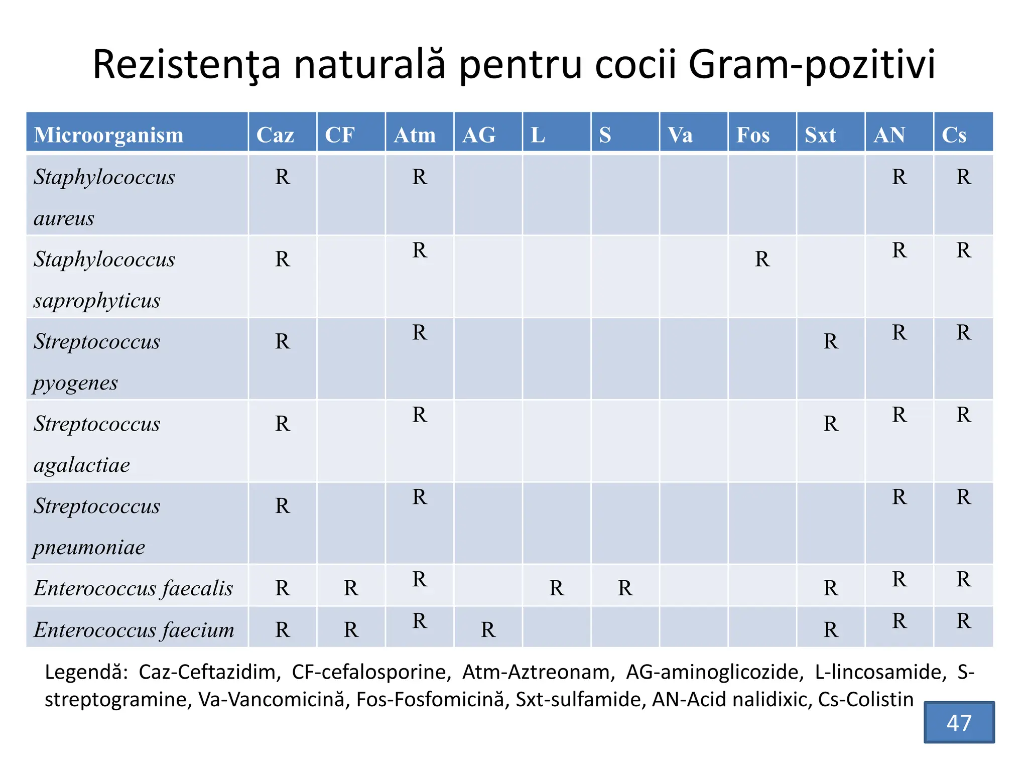 antibiograma antibioticele.pdf