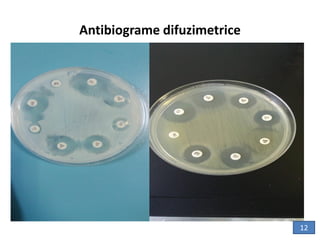 antibiograma antibioticele.pdf