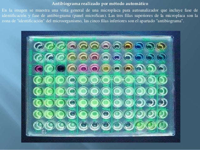Antibiograma presentacion