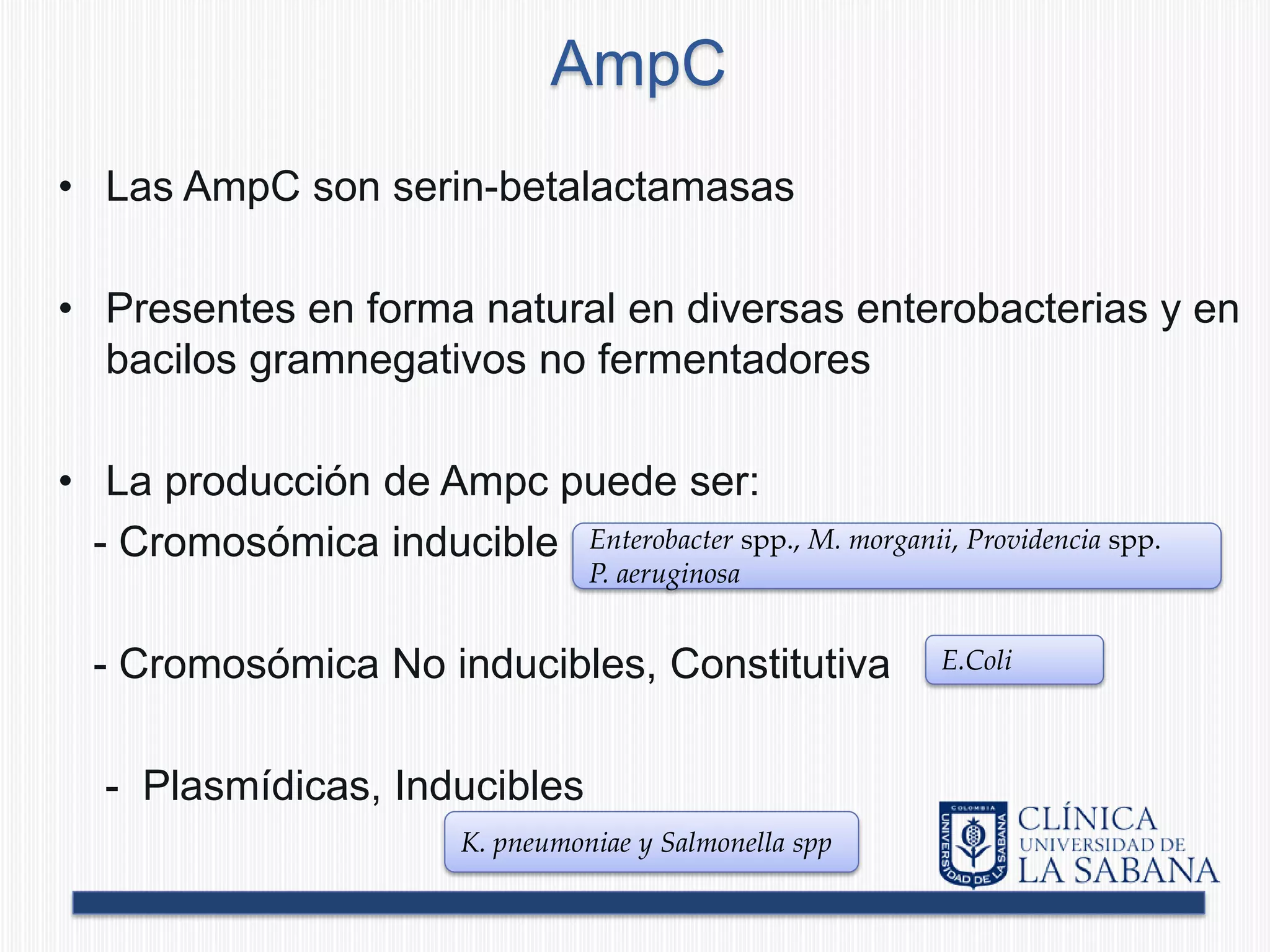 Antibiograma revision