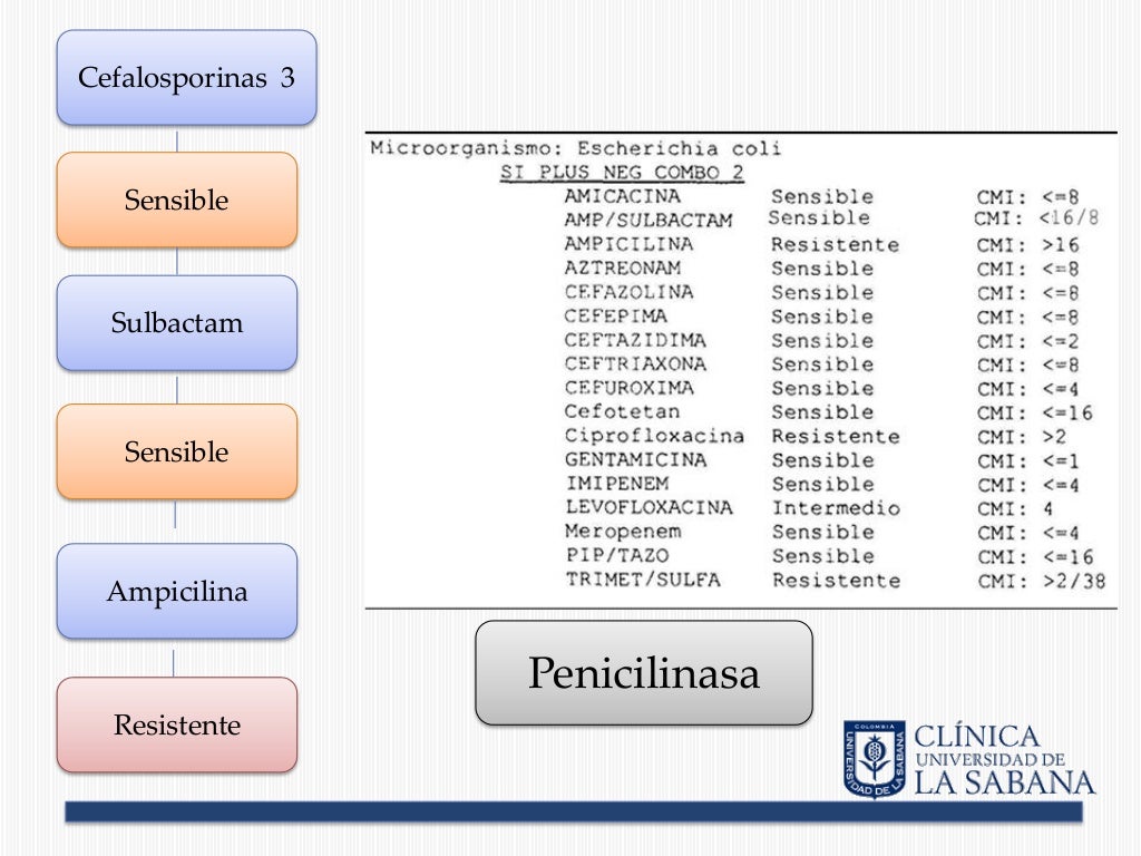 Antibiograma revision