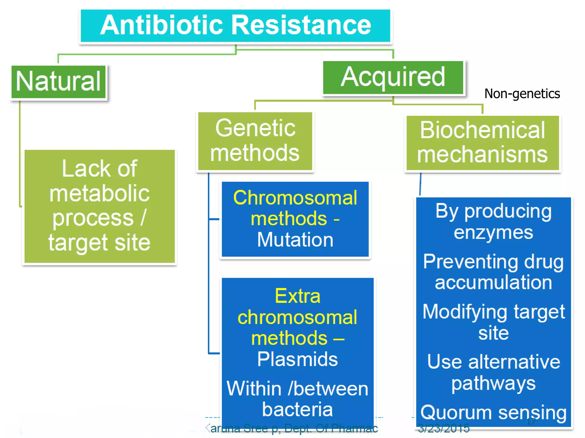 Antimicrobial Resistance Amr Pptx