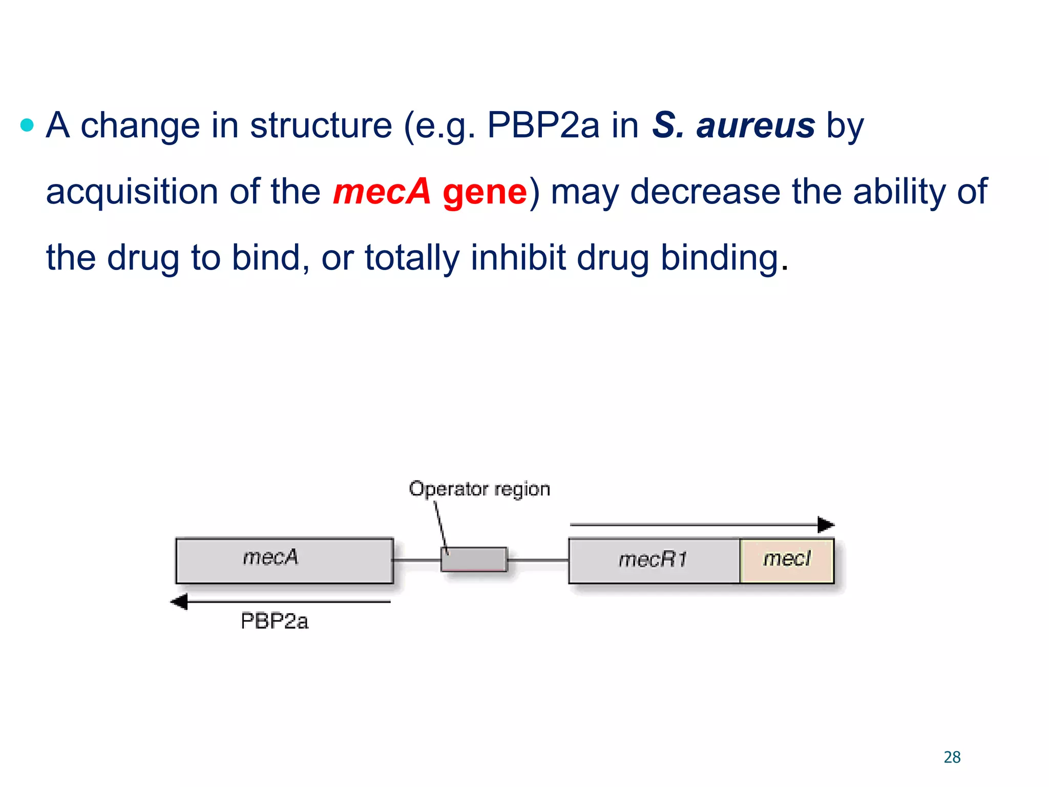 Antimicrobial Resistance (AMR) | PPTX