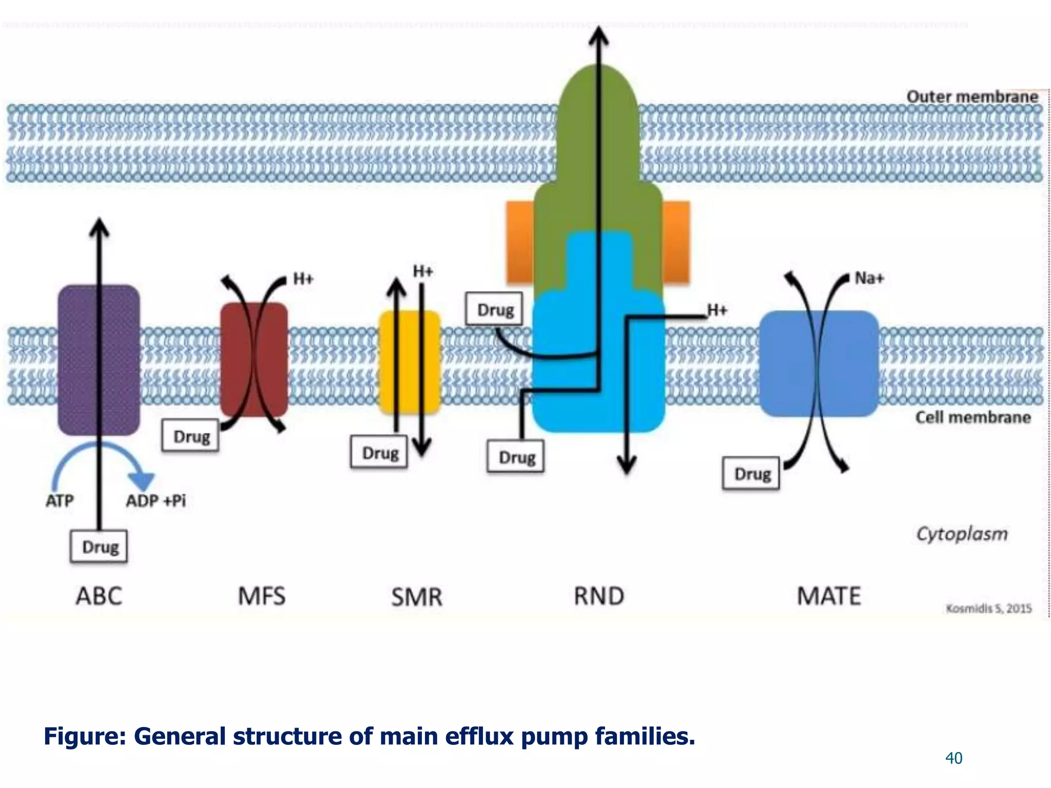 Antimicrobial Resistance (AMR) | PPTX