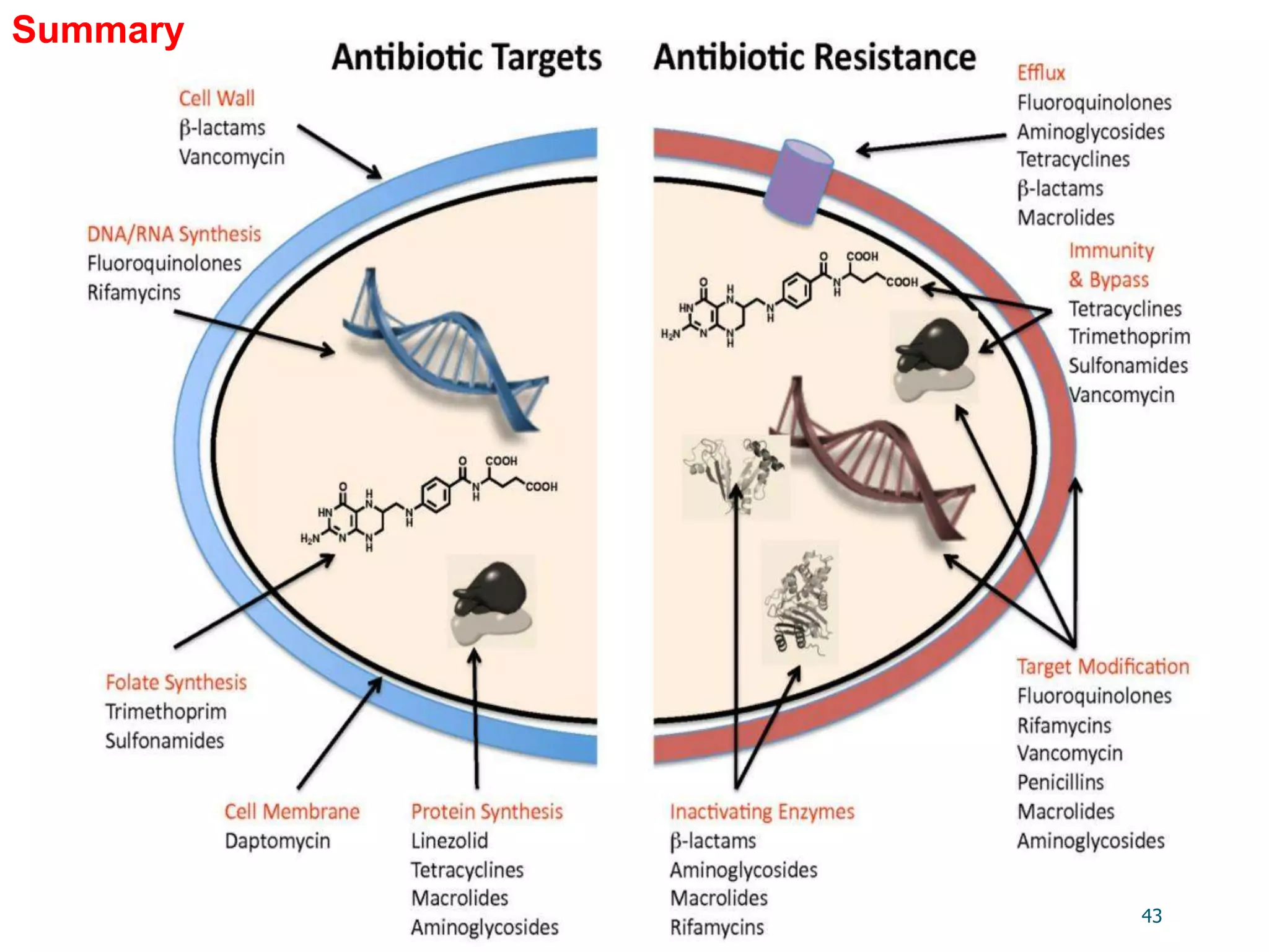 Antimicrobial Resistance (AMR) | PPTX