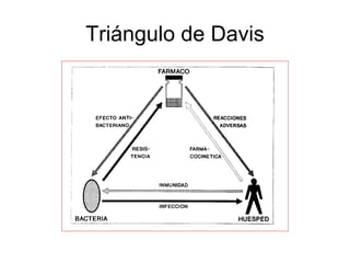 Antibiot Fundamento E N F 2008 | PPT