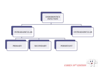 Antibiotic in endodontic | PPTX