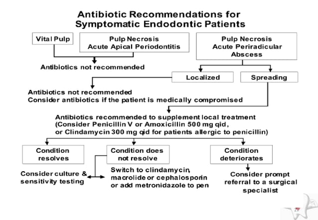 Antibiotic in endodontic | PPTX