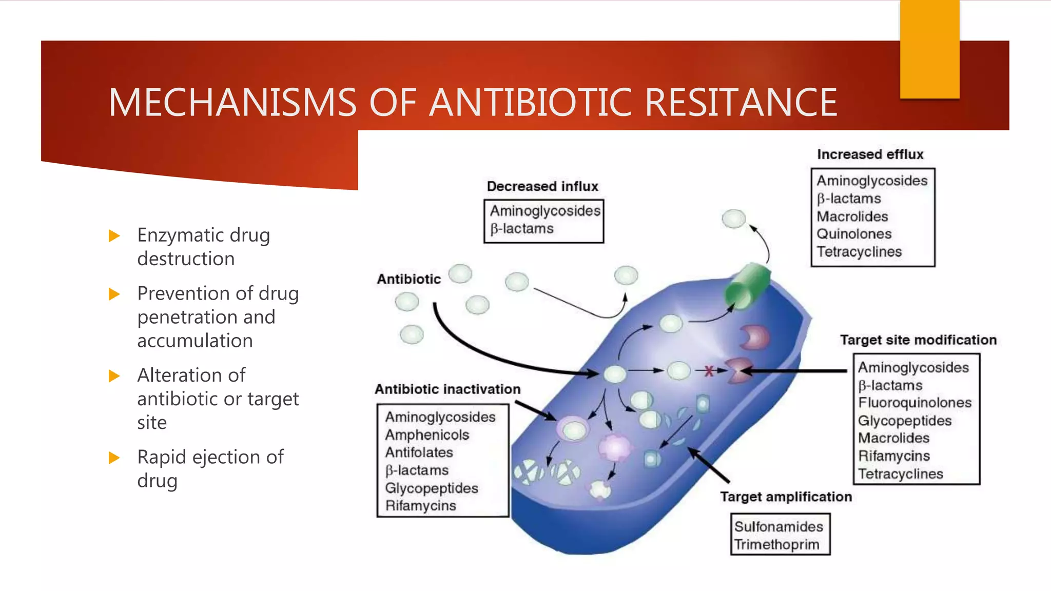 Antibiotic: Abuse and Misuse | PPTX