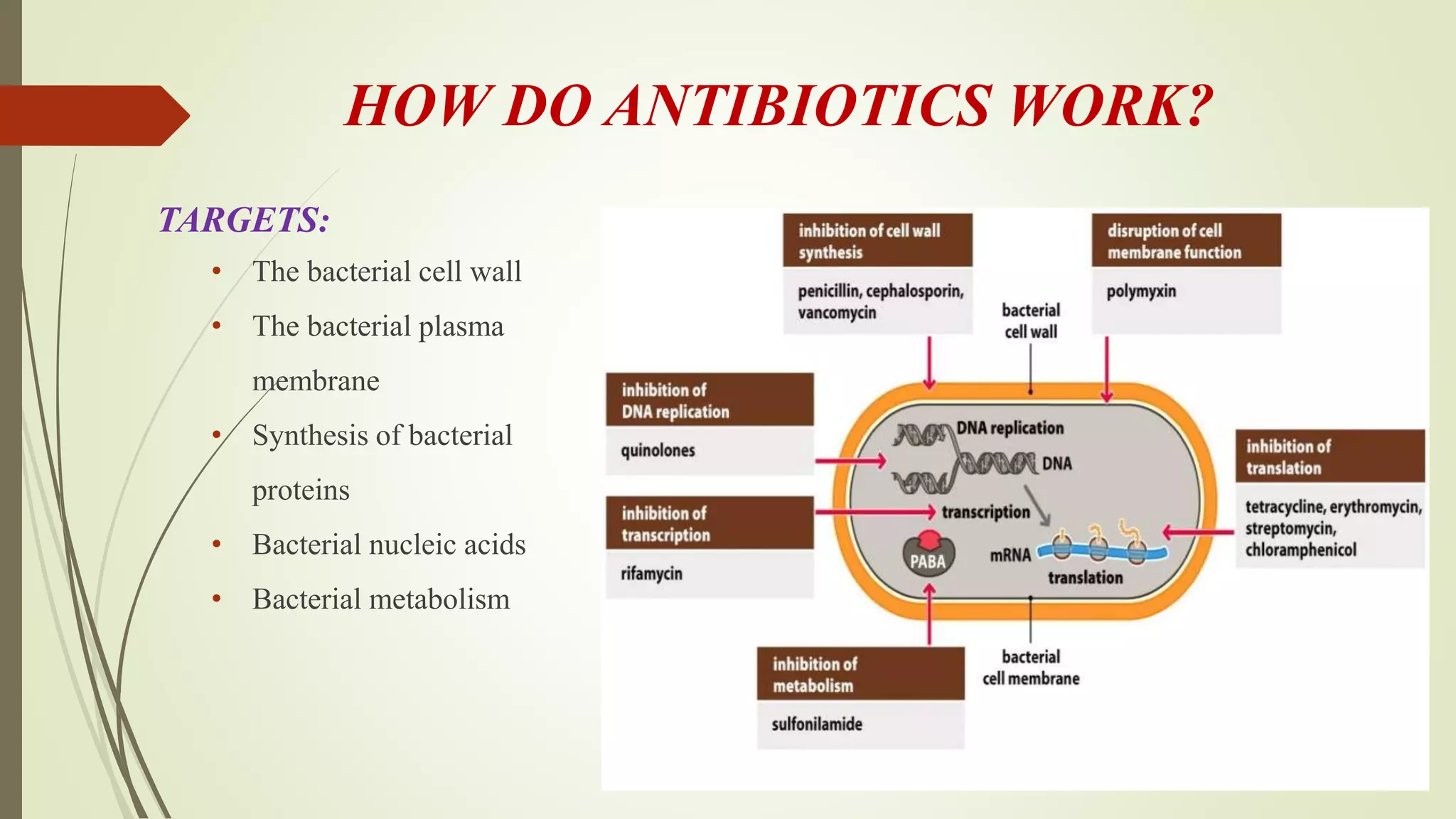 Antibiotic | PPTX