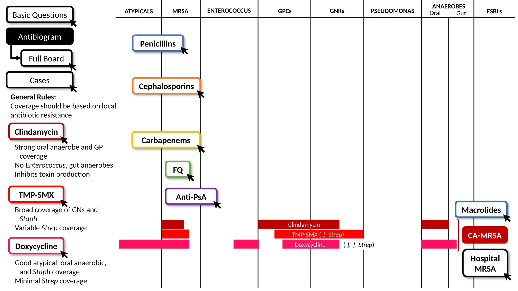 Antibiotic spectrum and its utility in clinical practice | PPTX