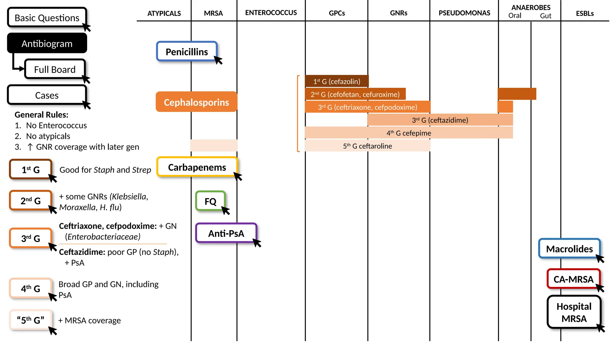 Antibiotic spectrum and its utility in clinical practice | PPTX
