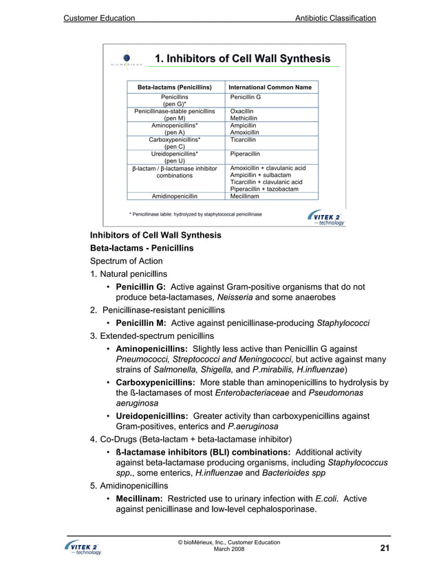 Antibiotic classification | PDF
