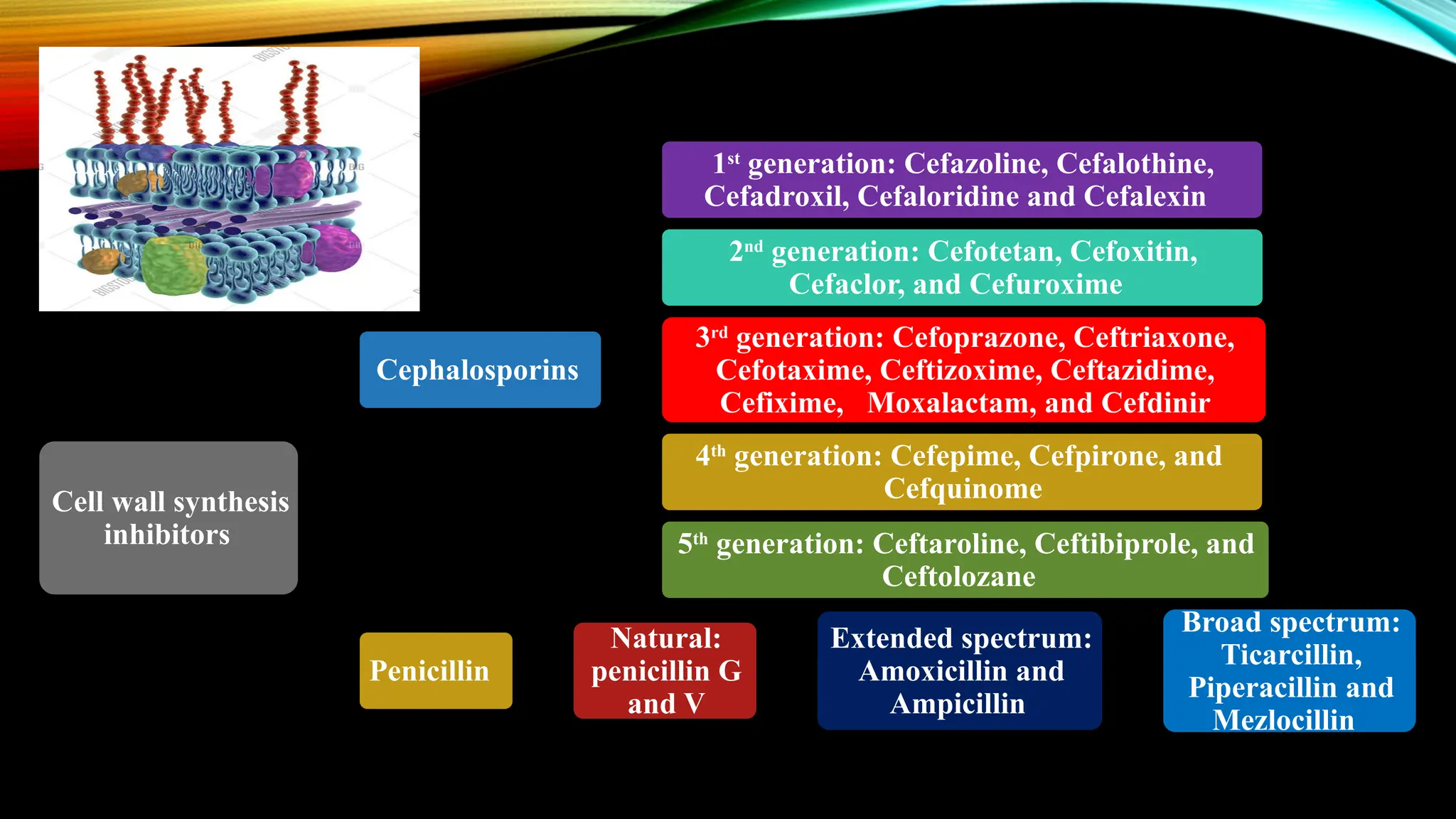 Antibiotic classification. by parivish pptx | PPTX