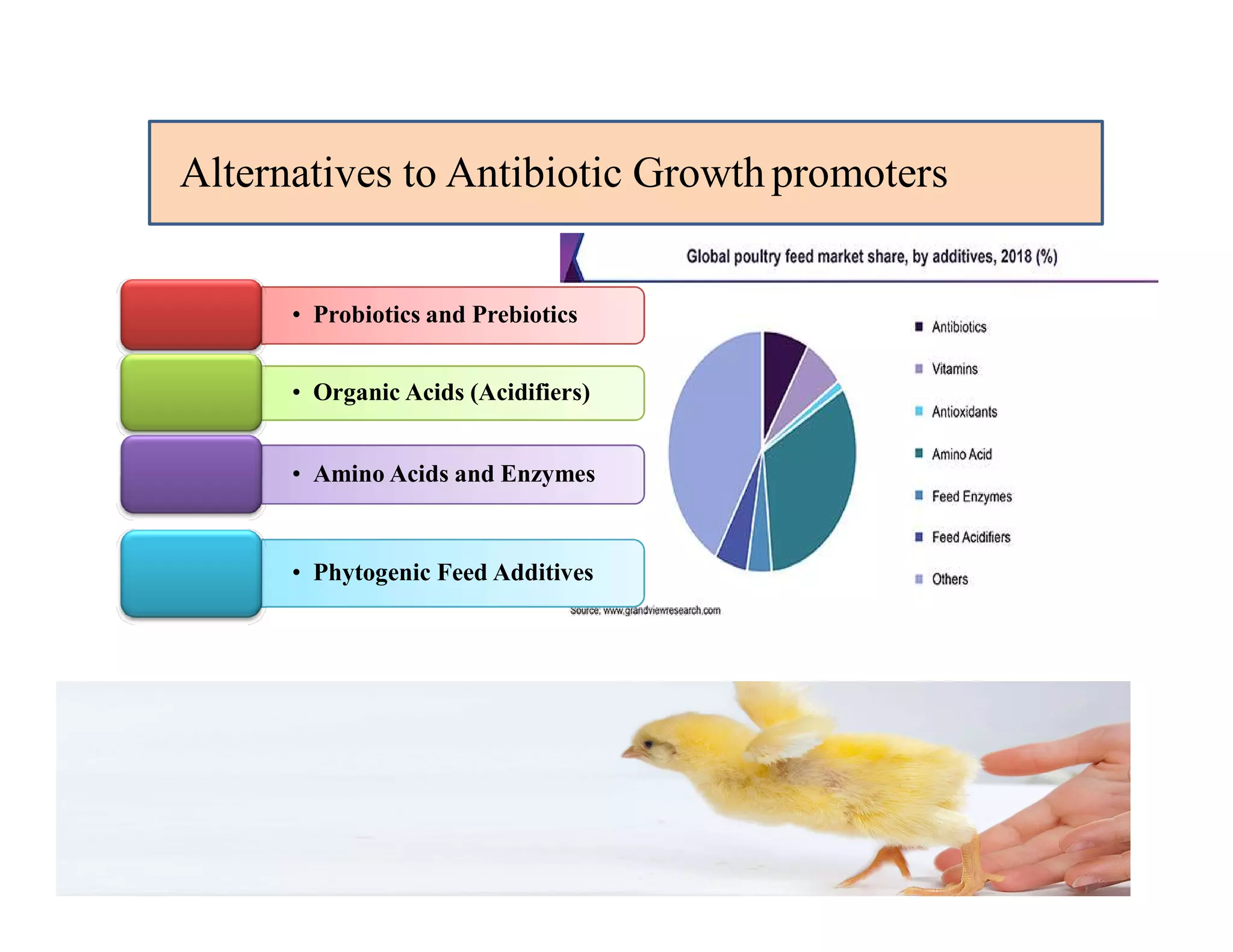 Antibiotic-free broiler meet production in india | PDF
