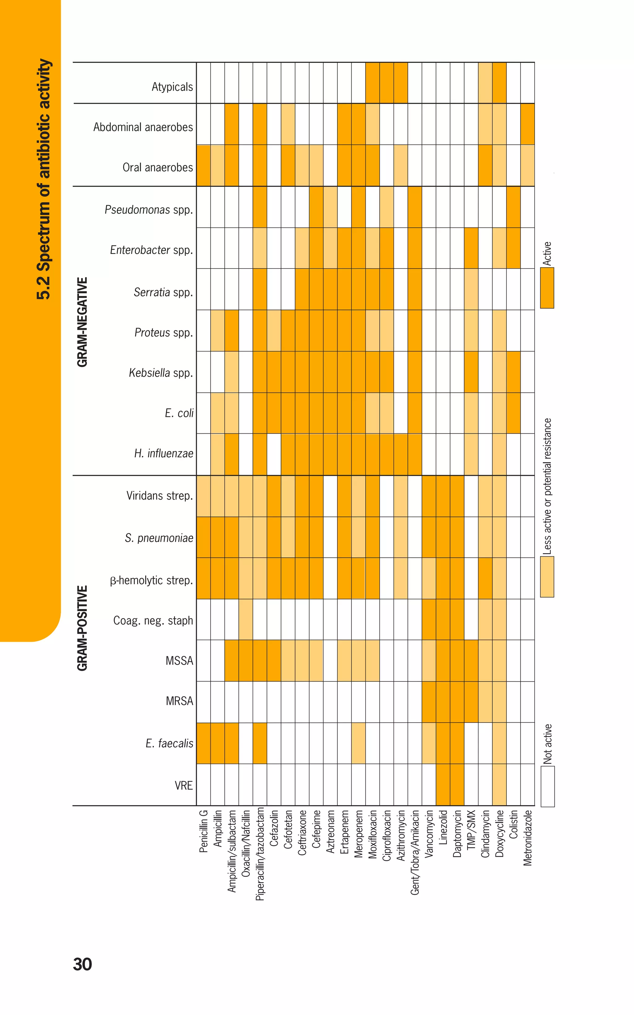Antibiotic guidelines - John hopkins | PDF