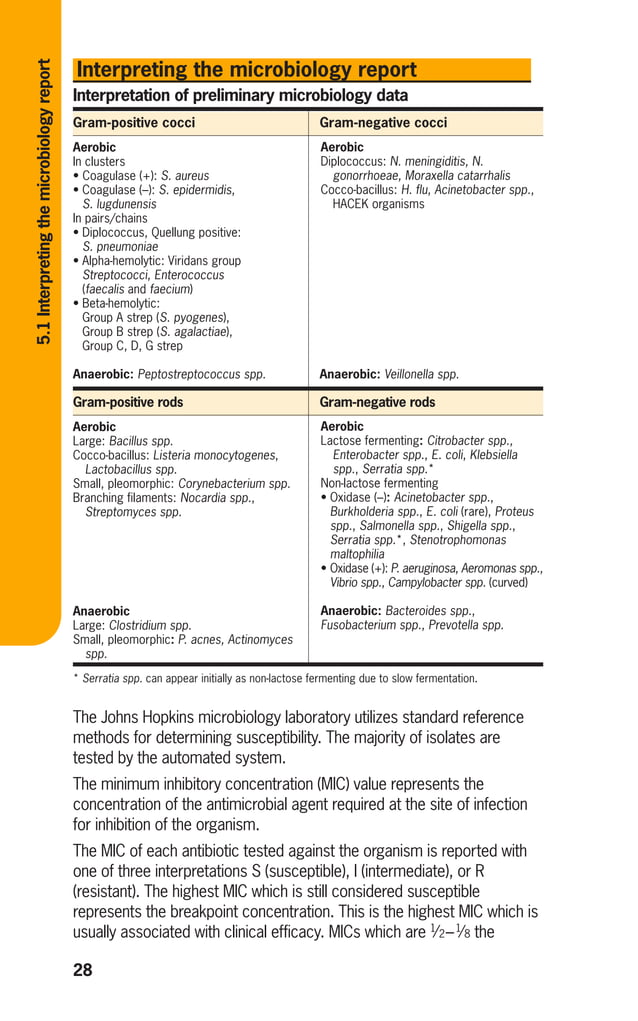 Antibiotic guidelines - John hopkins | PDF