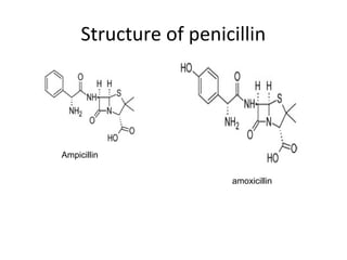 Penicillin Structure