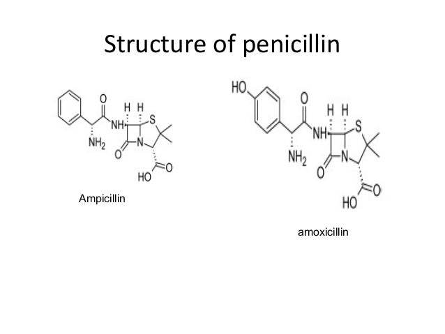 medicinal chemistry of Antibiotic