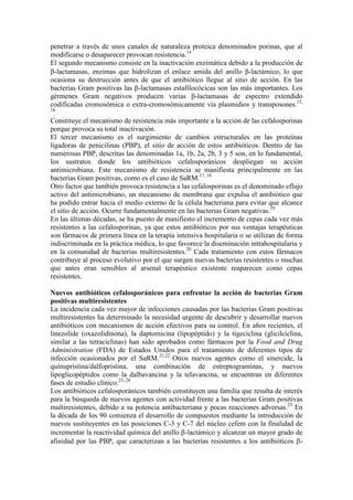 Antibioticos | PDF