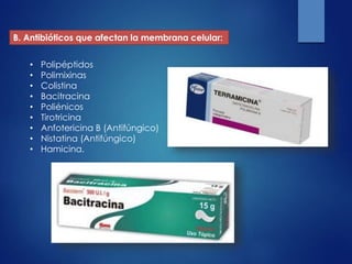 Antibioticos | PPT