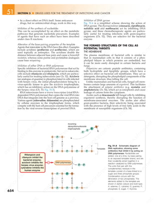 Antibioticos 2020. Pharmacology. Antibióticos | PDF