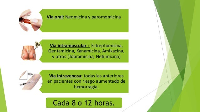 Kanamicina Antibiotico