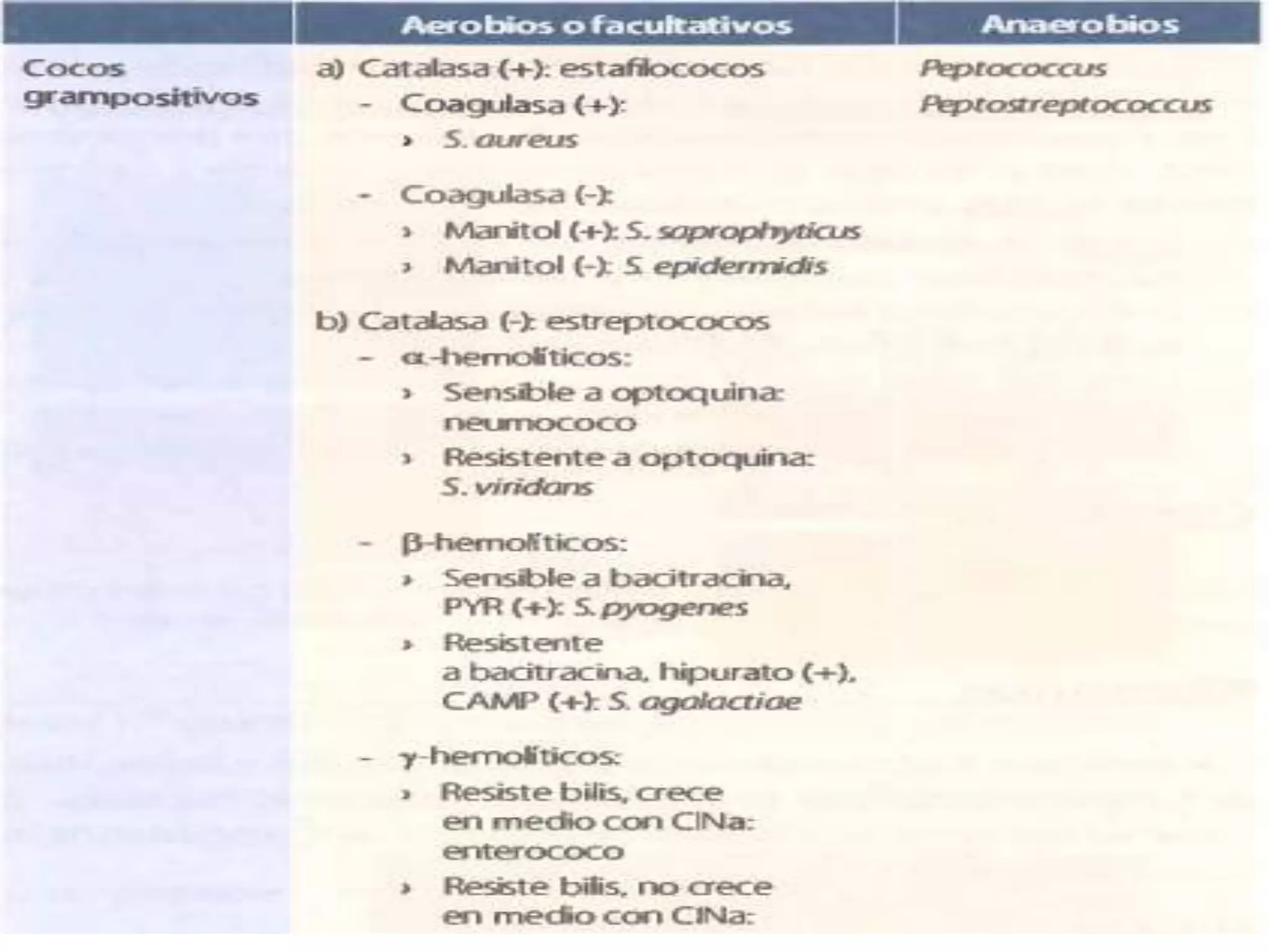 Antibioticos, resumen y recomendaciones para uso adecuado | PPTX