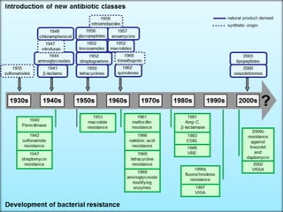 Antibiotic policy | PPT
