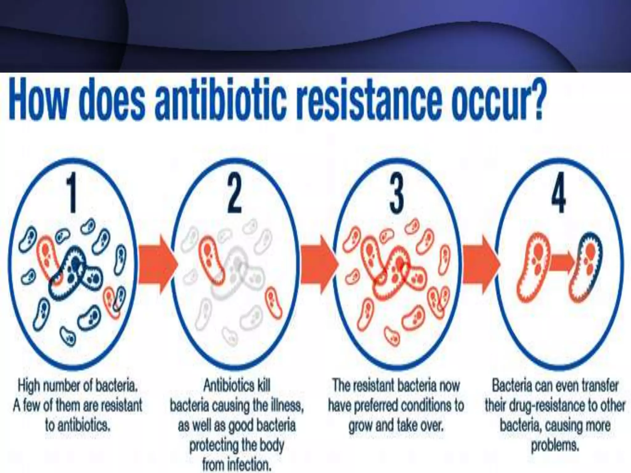 Antibiotic policy | PPTX