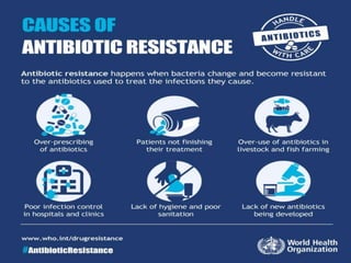 Antibiotic policy | PPTX