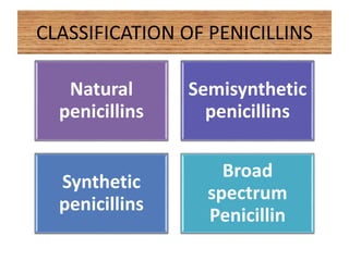 Antibiotic ppt | PPTX
