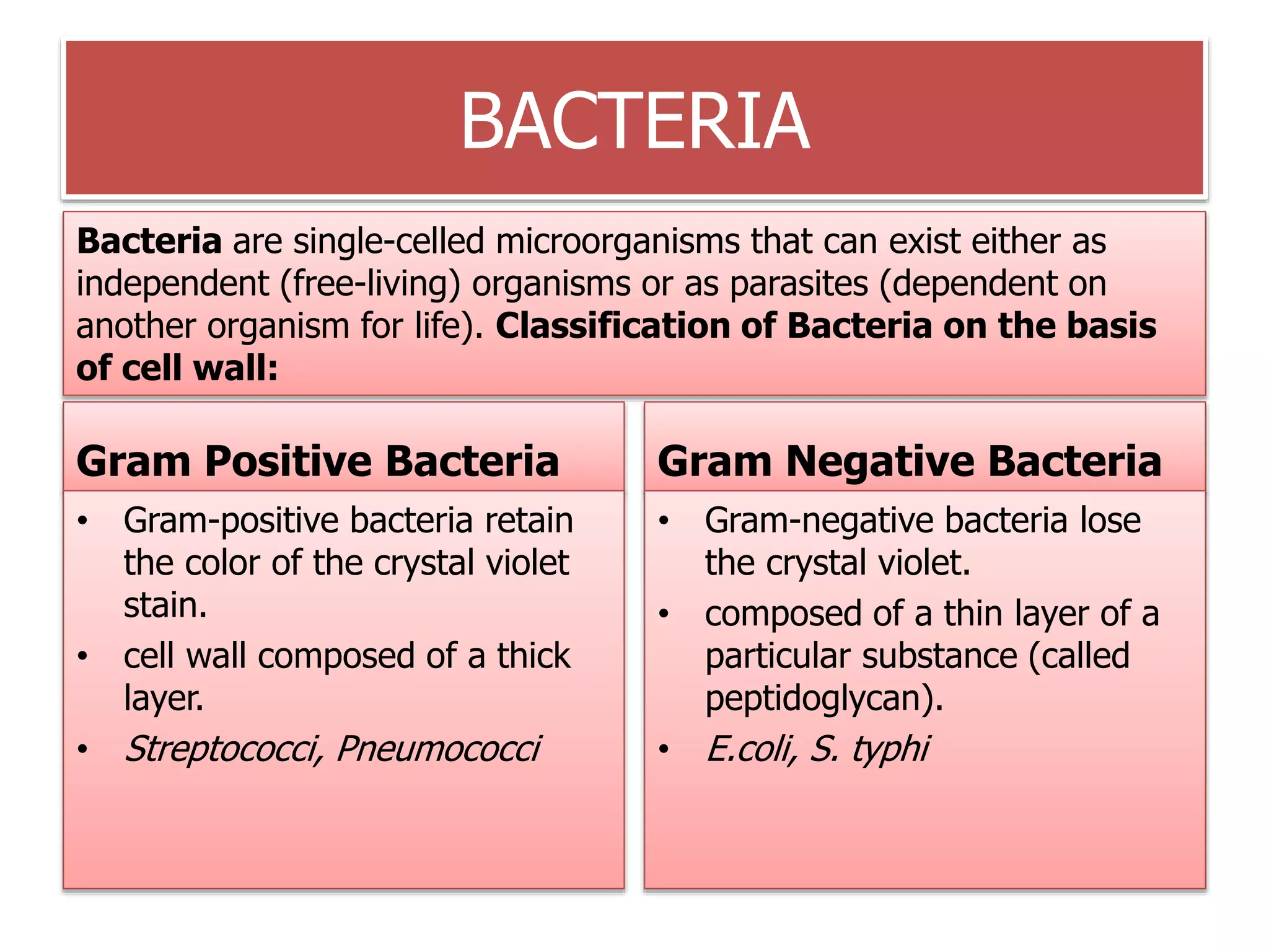 Antibiotic ppt by shuman 2 | PPTX
