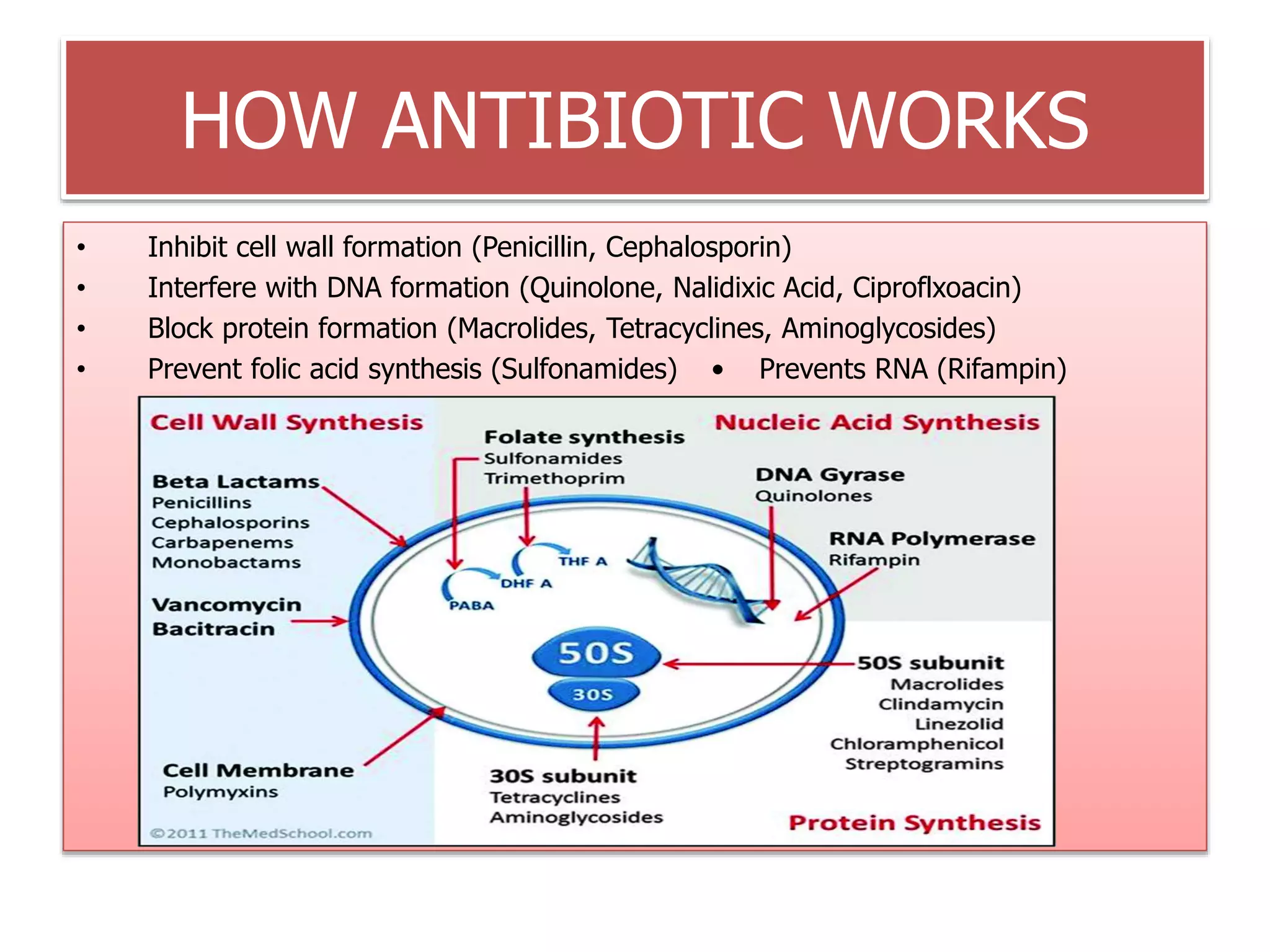 Antibiotic ppt by shuman 2 | PPTX | Infectious Diseases | Diseases and ...