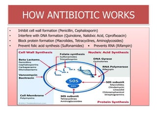 Antibiotic ppt by shuman 2 | PPTX | Infectious Diseases | Diseases and ...