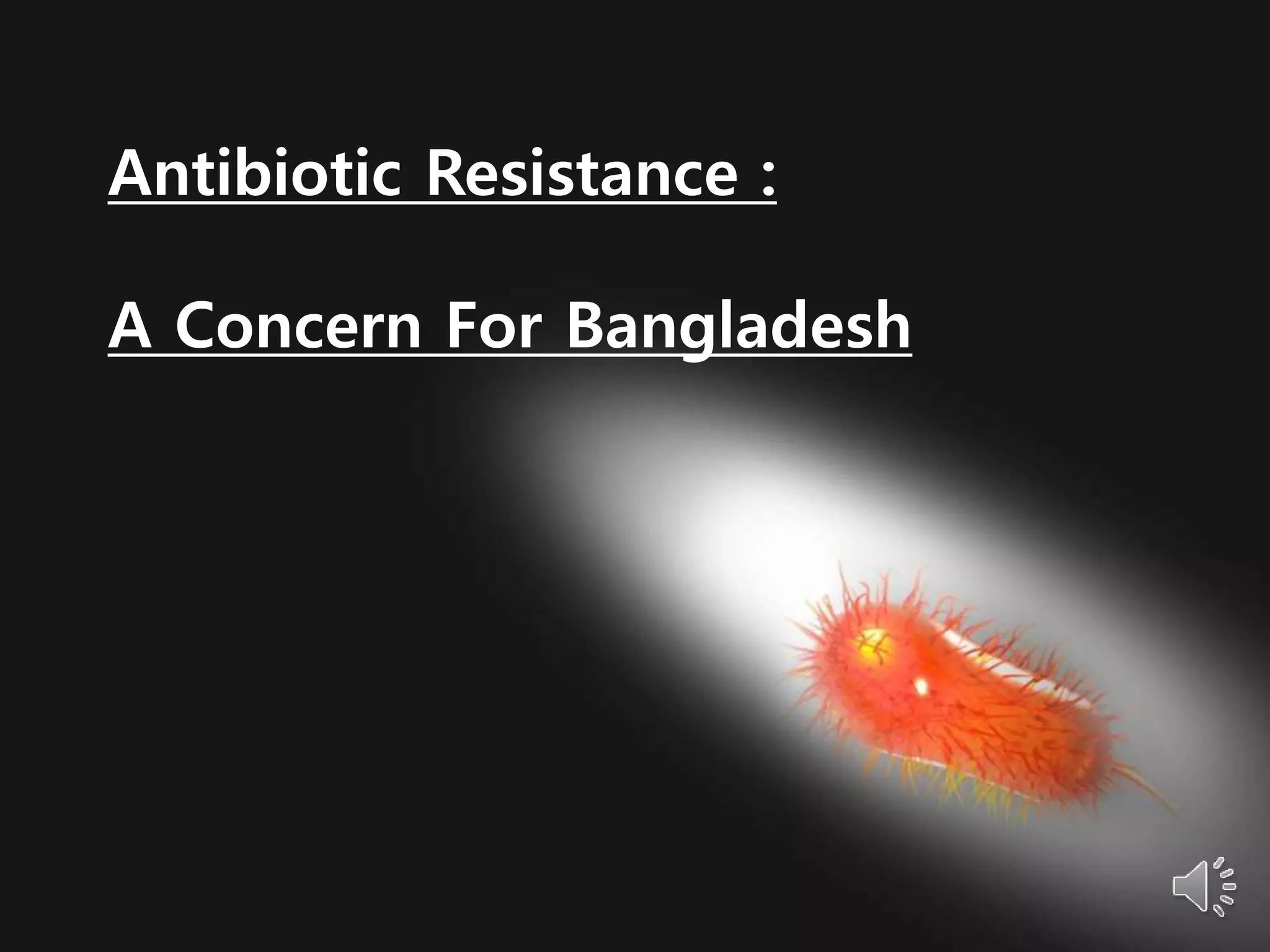 Antibiotic Resistance presentation | PPT