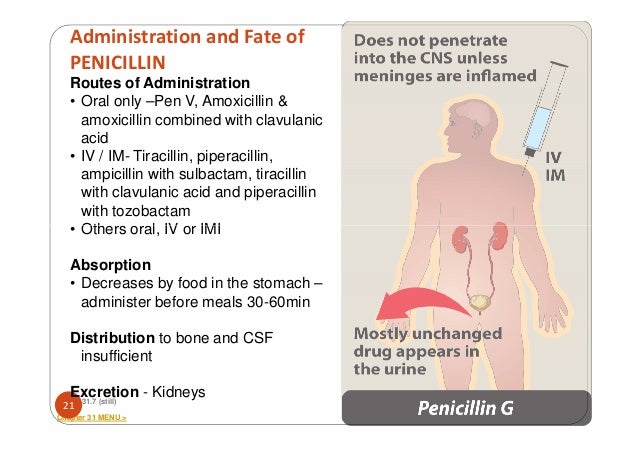 Antibiotic principles
