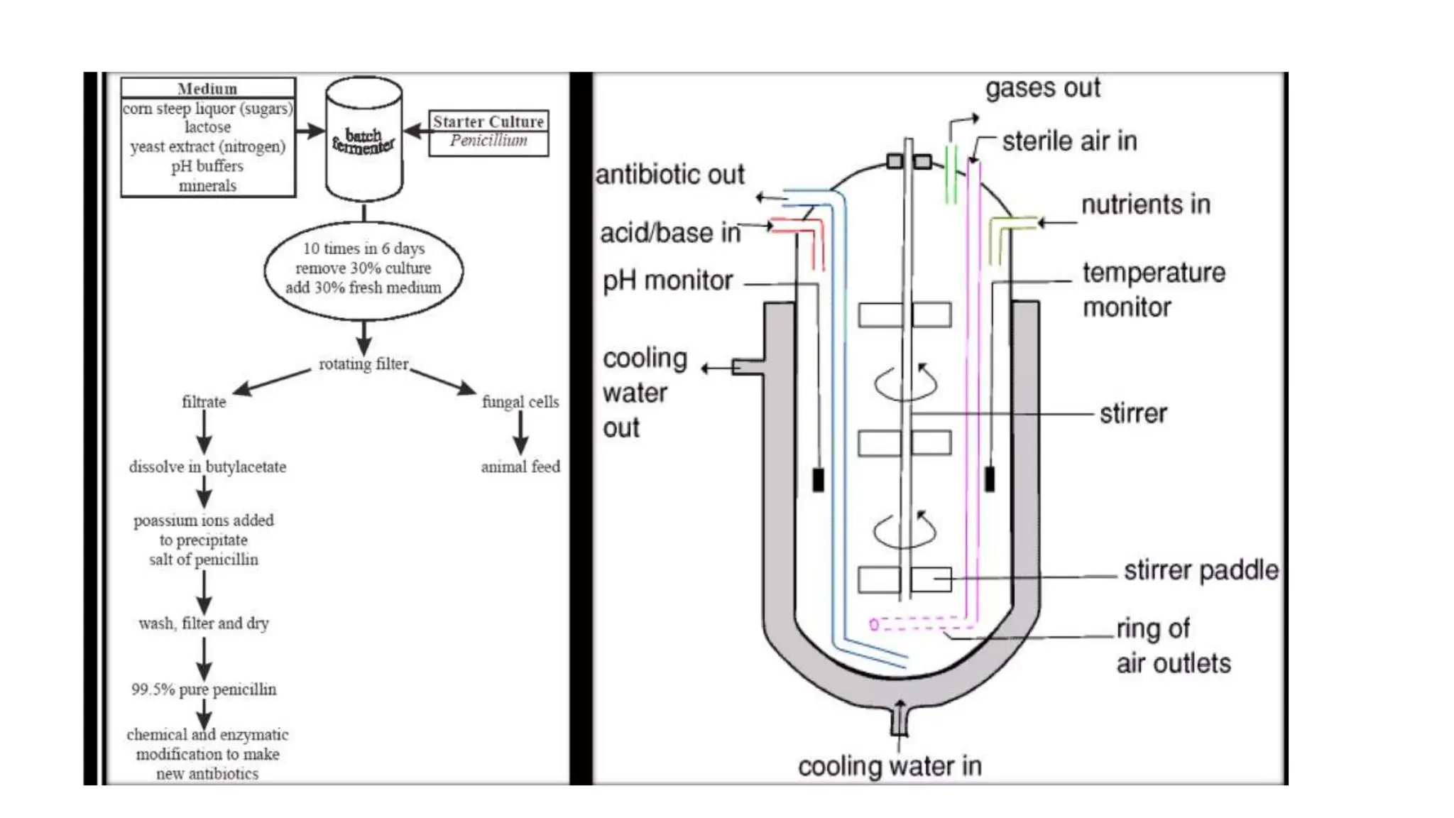 Antibiotic production. Production of Antibiotics | PPTX